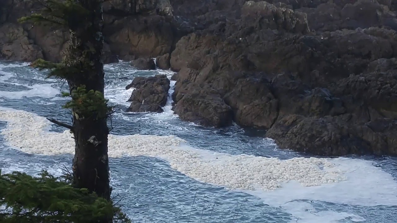 Pacific rim trail jan 2018 - YouTube