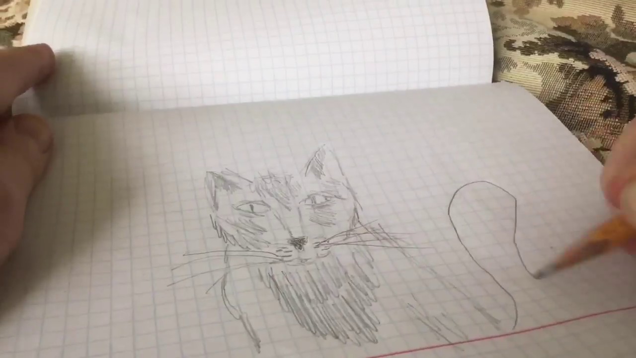 I draw Pusa (SpeedArt) - YouTube