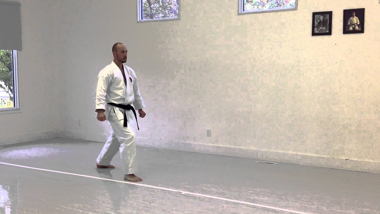 Front Kick x2, same leg: Target Head, Stomach | IKD Testing Syllabus ...