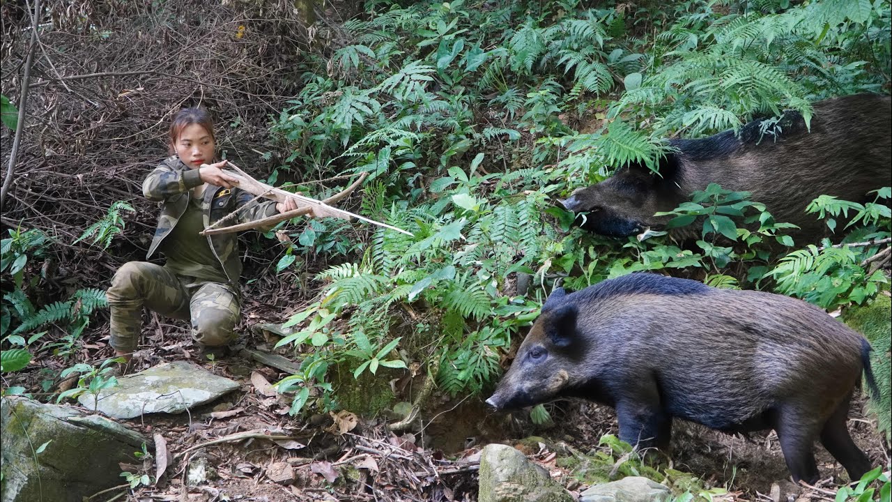 skills, capturing wild boars alive and bringing them home to raise ...