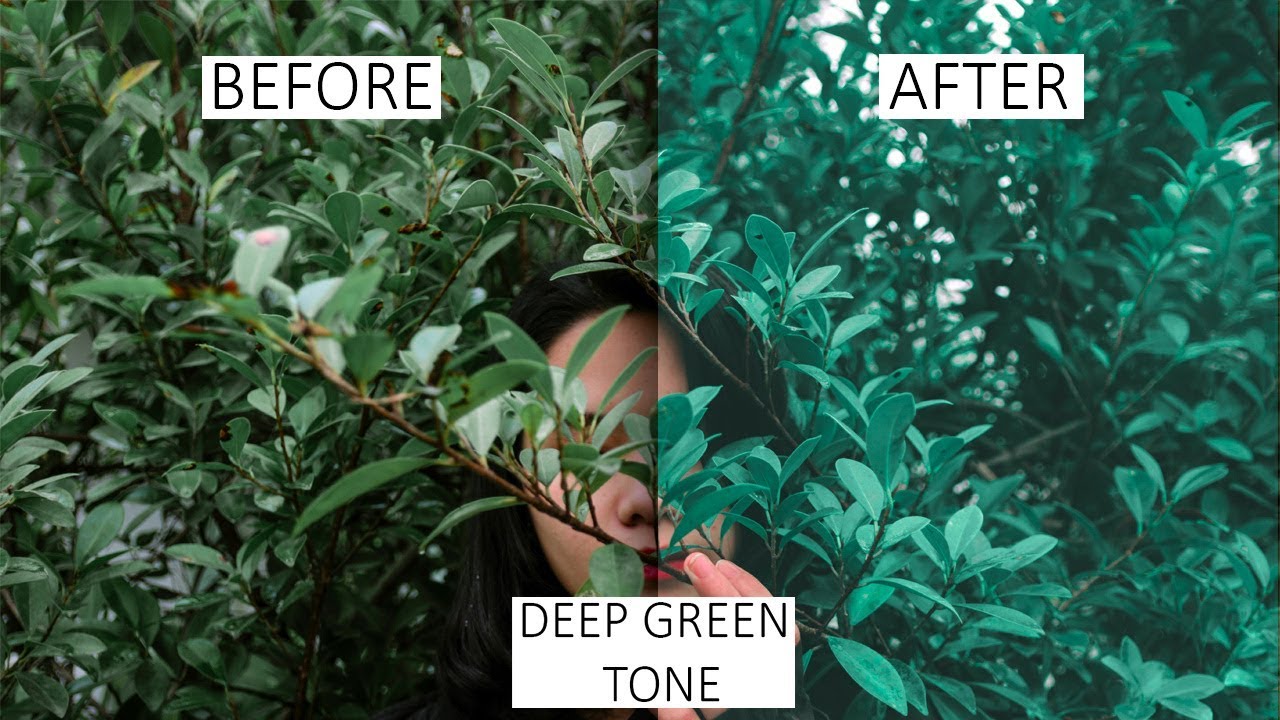 Lightroom Tutorial : How to Create Deep Green Color Tone in Lightroom ...