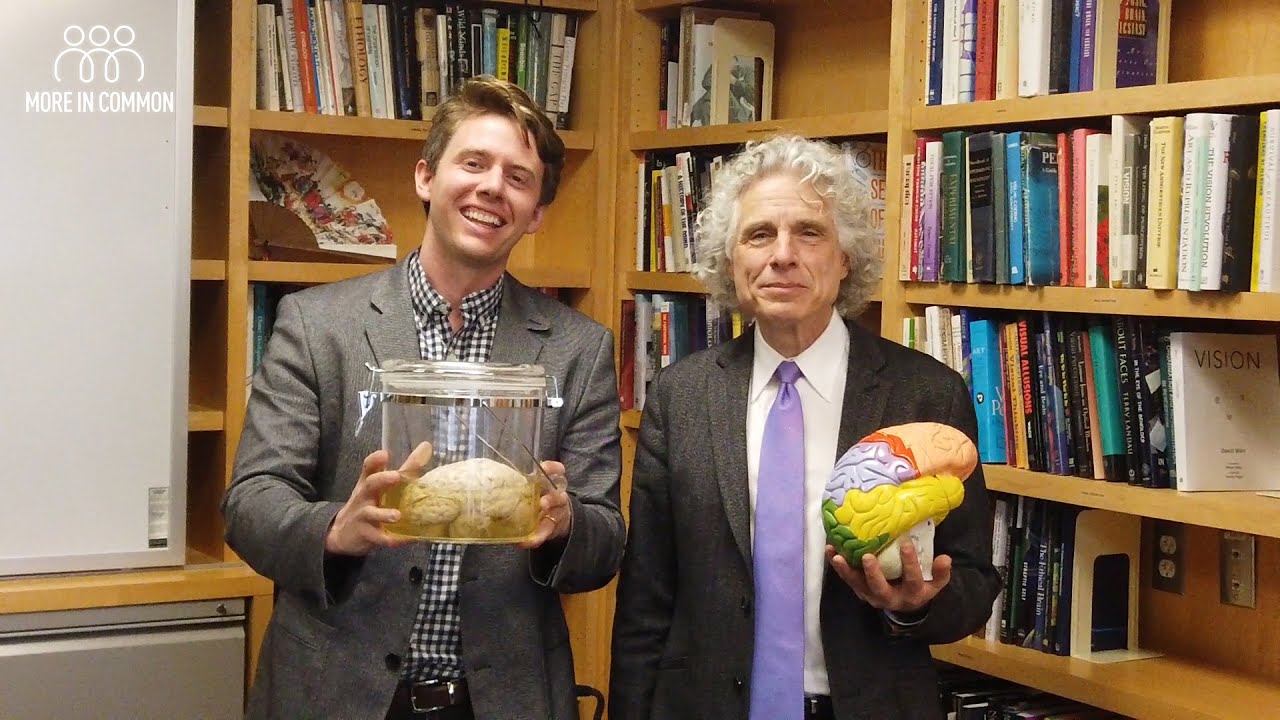 Harvard Professor Proves Our World Is a Better and Safer Place To Live ...