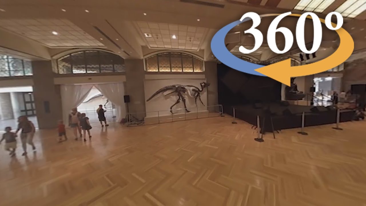 Royal Ontario Museum Interior