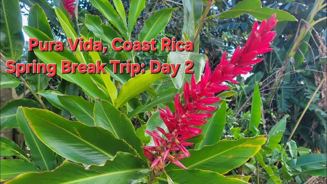 Pura Vida, Costa Rica Spring Break Trip Day 2 - YouTube