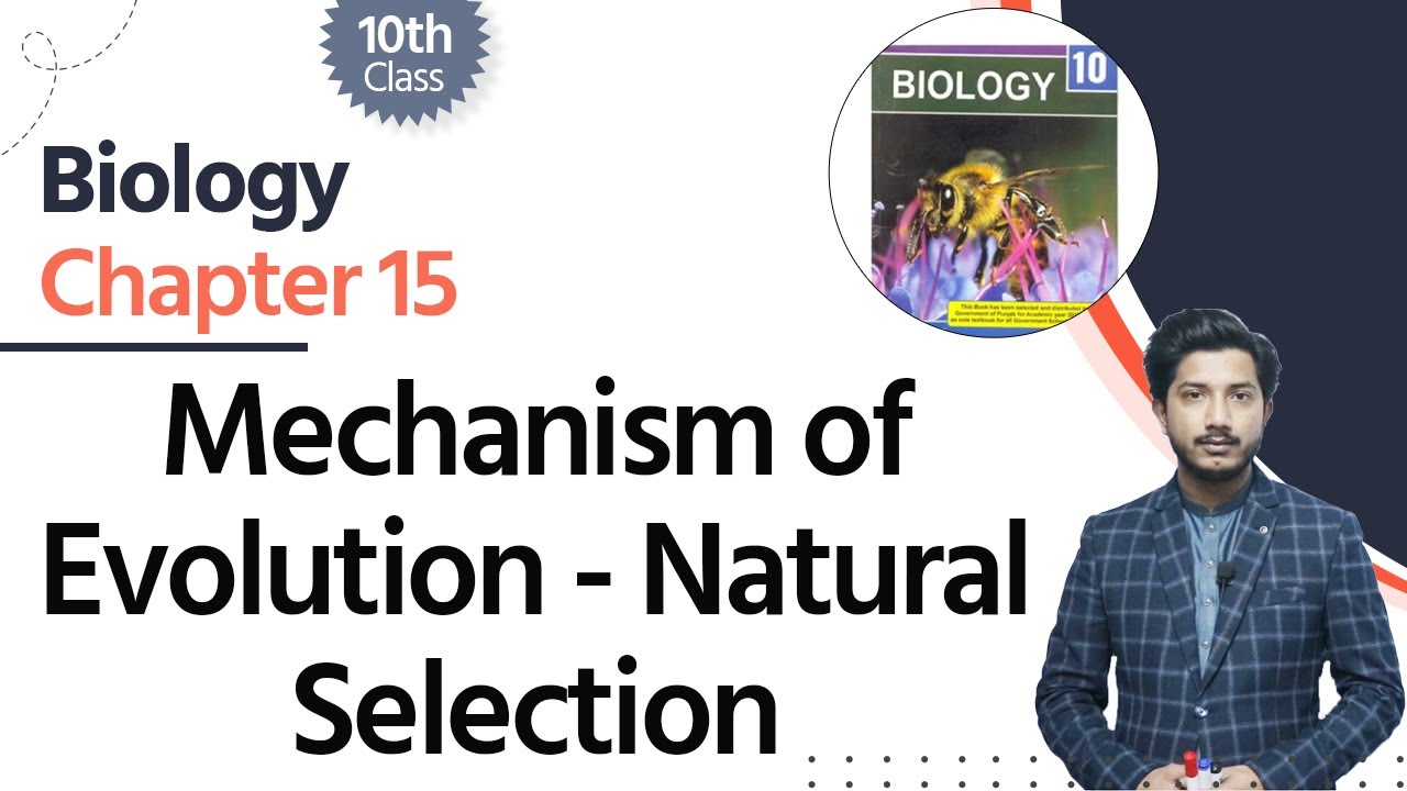 Biology Class 10 Chapter 15 - Class 10 Biology Ch 15 - Mechanism of ...