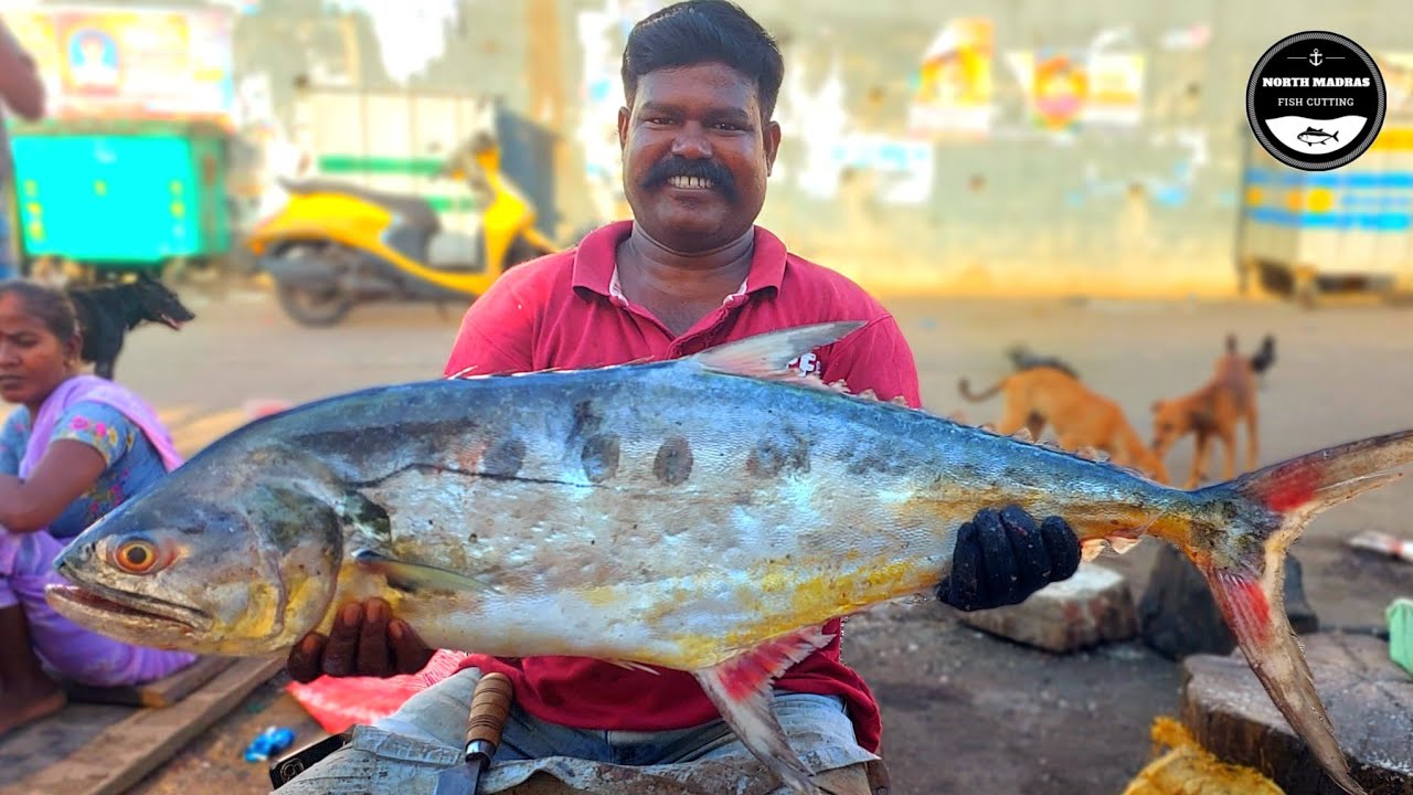 THOL PAARAI |KASIMEDU CHEETA DURAI |FISH CUTTING SKILLS |NMFC # ...