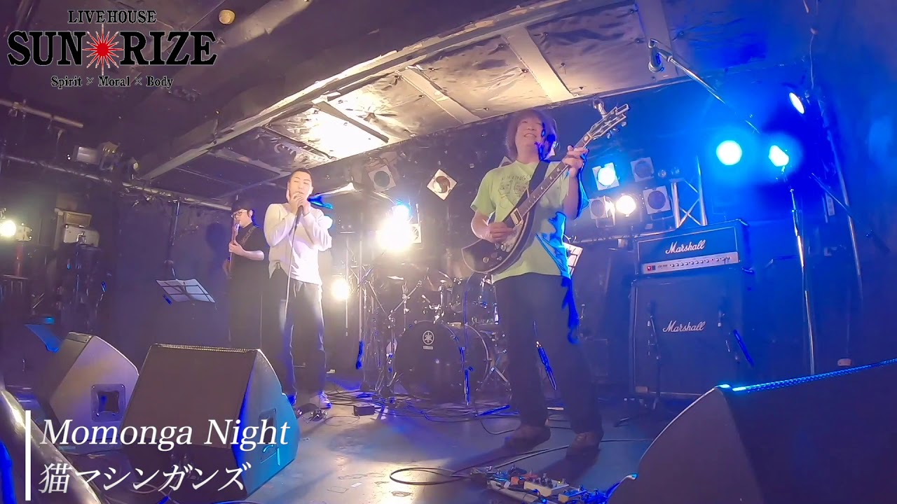 猫マシンガンズ / Momonga Night - YouTube