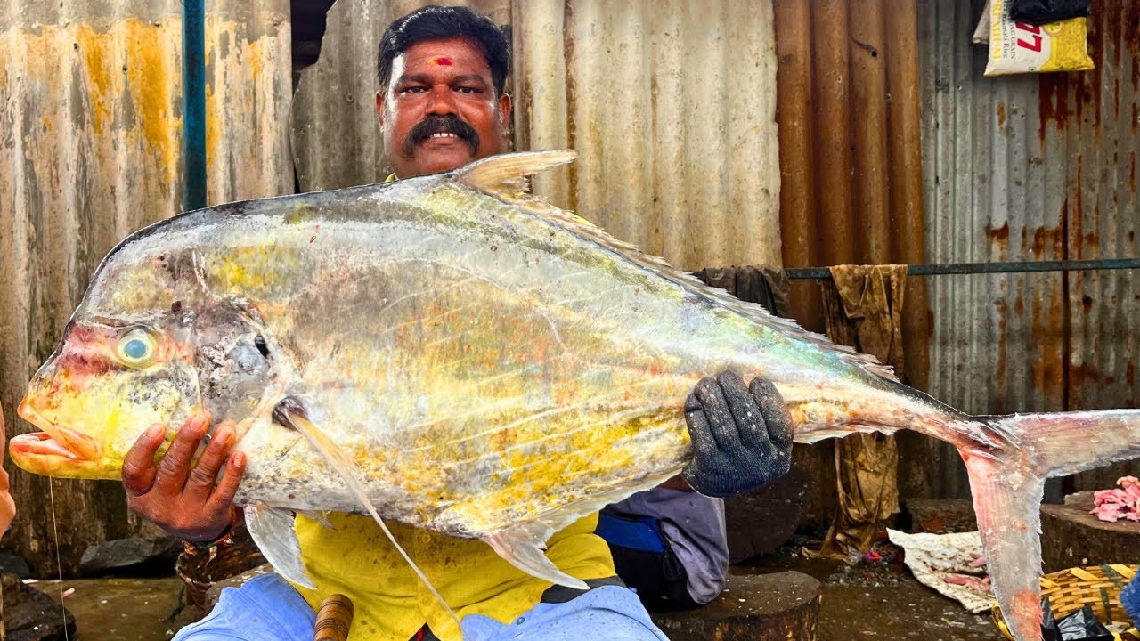 KASIMEDU 🔥 CHEETAH DURAI | BIG DIAMOND TREVALLY FISH CUTTING VIDEO | FF ...