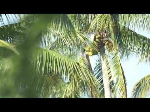 #EMR17 FOREVER EAGLE Manager Retreats - YouTube