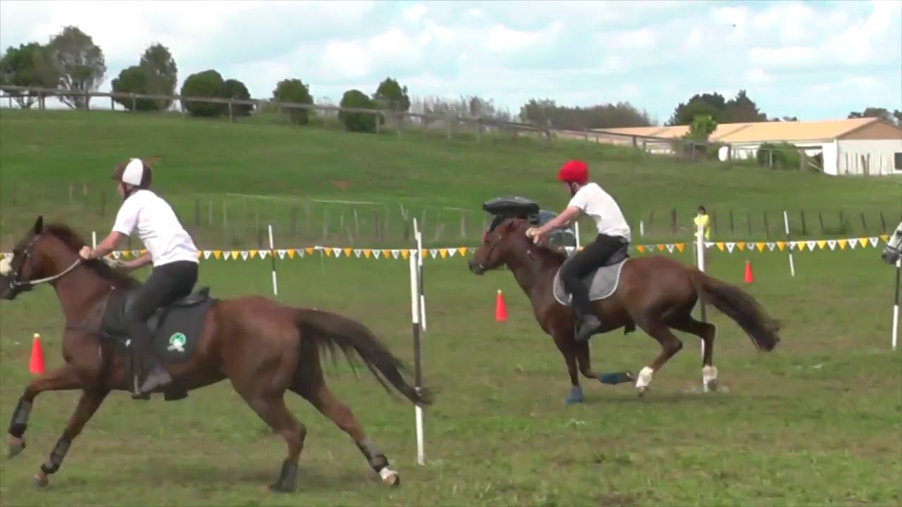 Mounted Games - NZ Open Individuals 2016 - YouTube