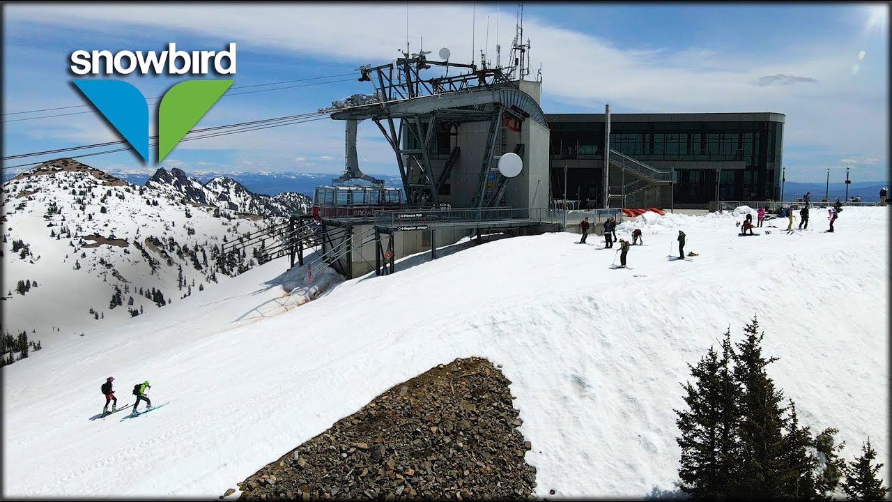 Earning our Turns at Snowbird - Insane drone angles at 13,200 FEET ...