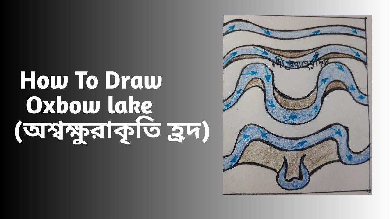 How To Draw Oxbow lake (অশ্বক্ষুরাকৃতি হ্রদ) - YouTube