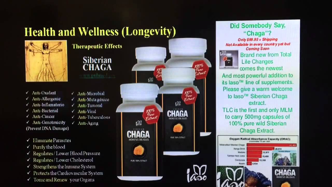 What Is Chaga? Explained - Total Life Changes - YouTube