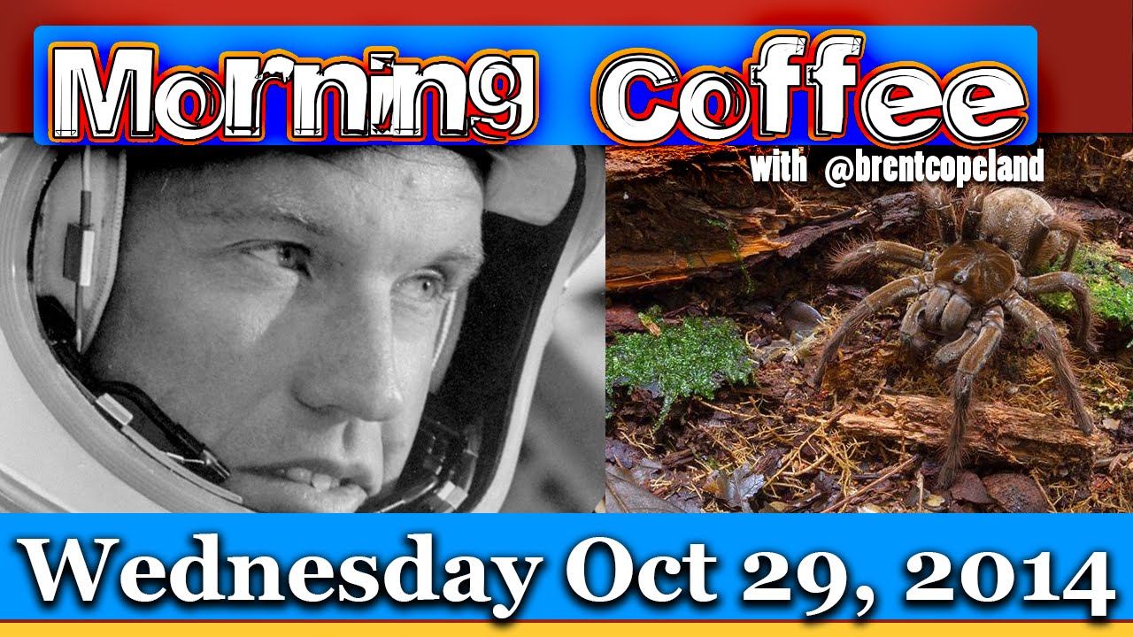 Morning Coffee: Spiders in Space (Wednesday Oct 29, 2014) - YouTube