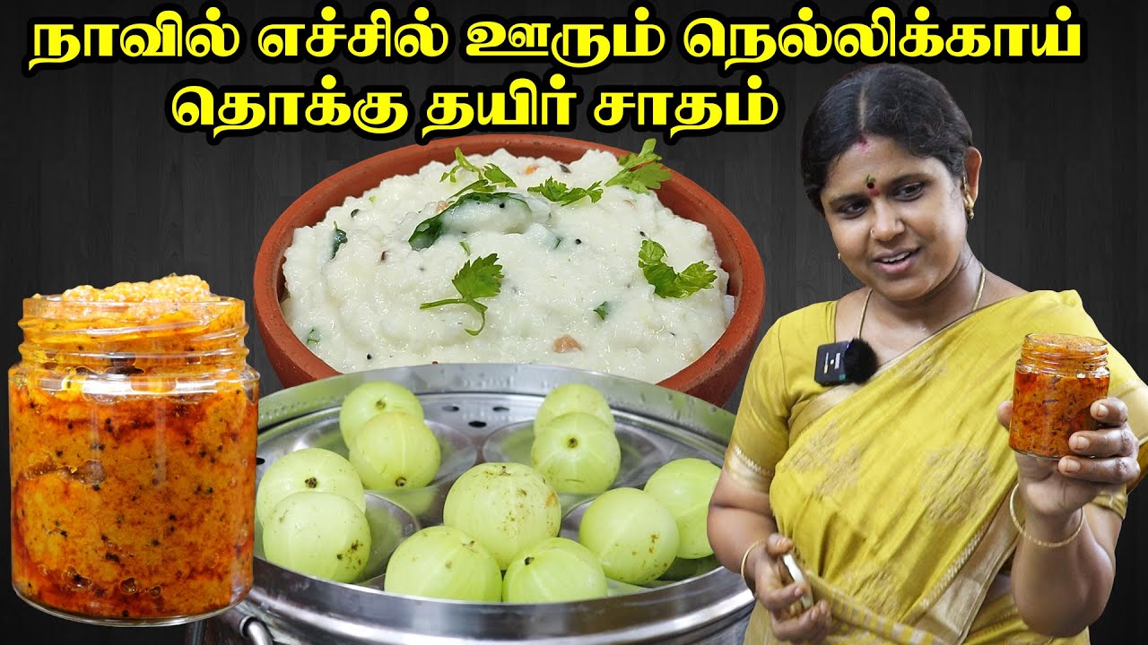 Nellikaai Thokku Recipe in Tamil | Curd rice | Thairu saadham ...