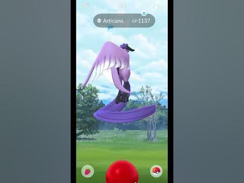 WILD GALARIAN ARTICUNO ENCOUNTER!! 🥲 #pokemongo #pokemon #pokémon #legendary - YouTube