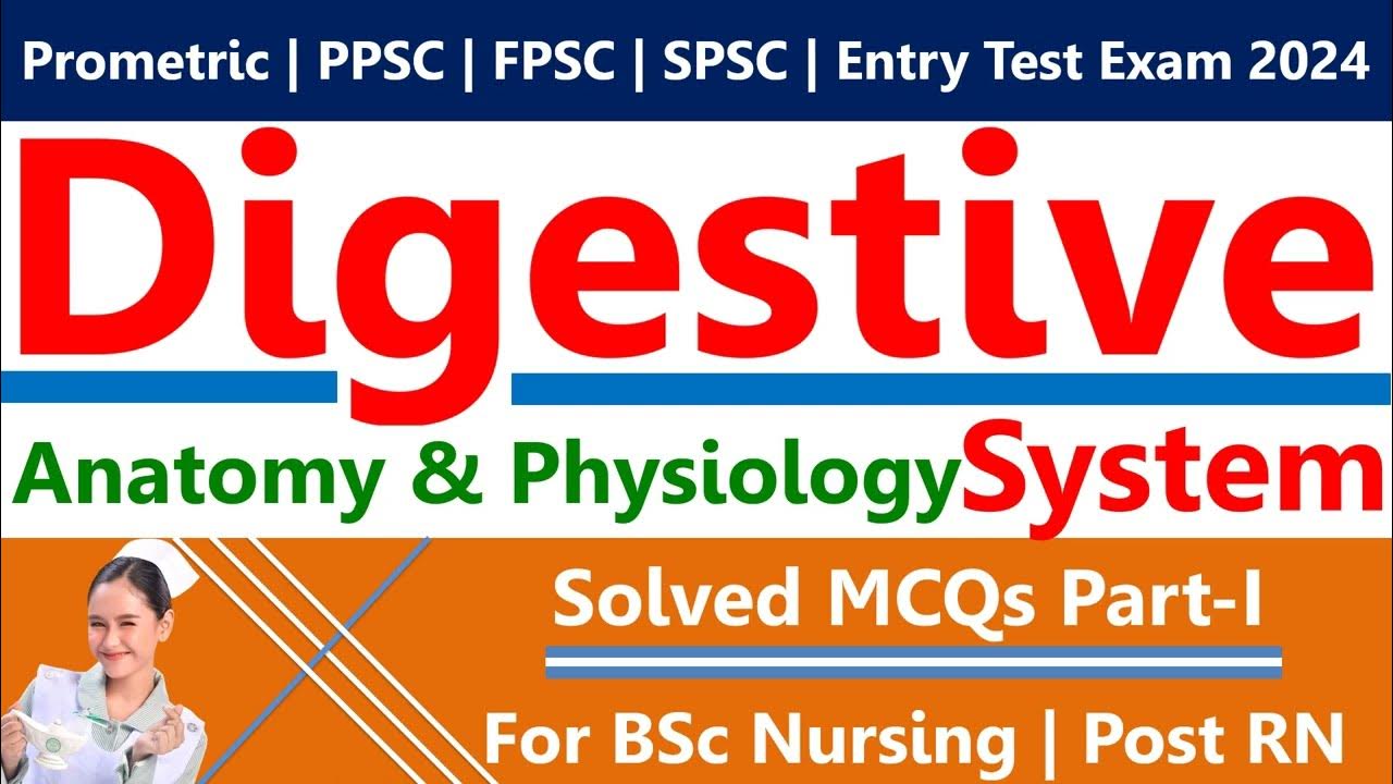 Human Digestive System - Anatomy & Physiology | Solved MCQs - YouTube