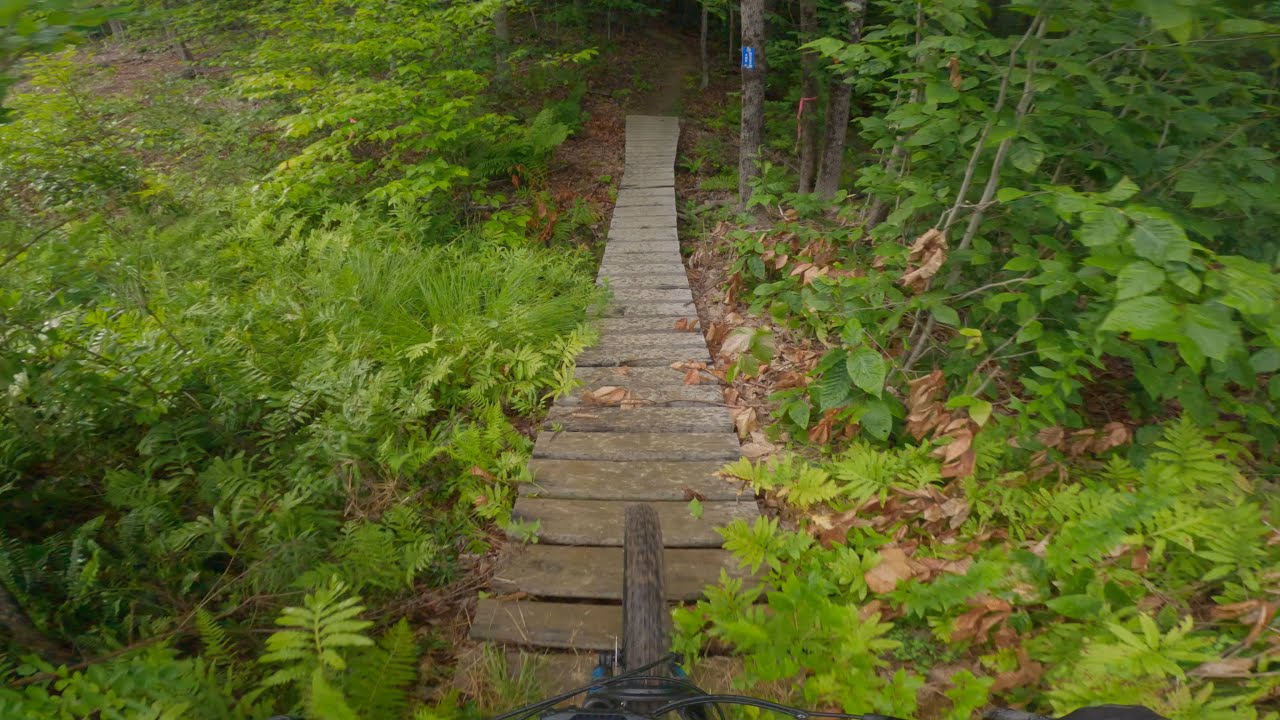 Maine MTB 2024 Bond Brook Transition Sentinel - YouTube