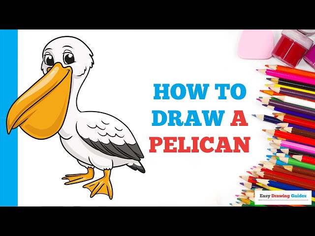 How To Draw A Brown Pelican Simple Drawing Youtube