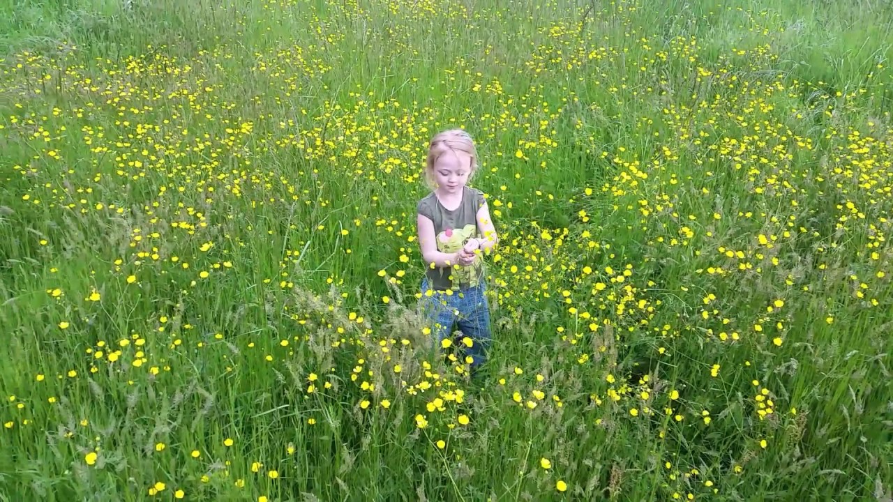 How do you do this! Destroy Flowers! - YouTube