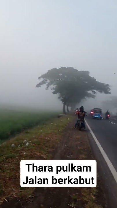 Thara pulang kampung | jalan berkabut - YouTube