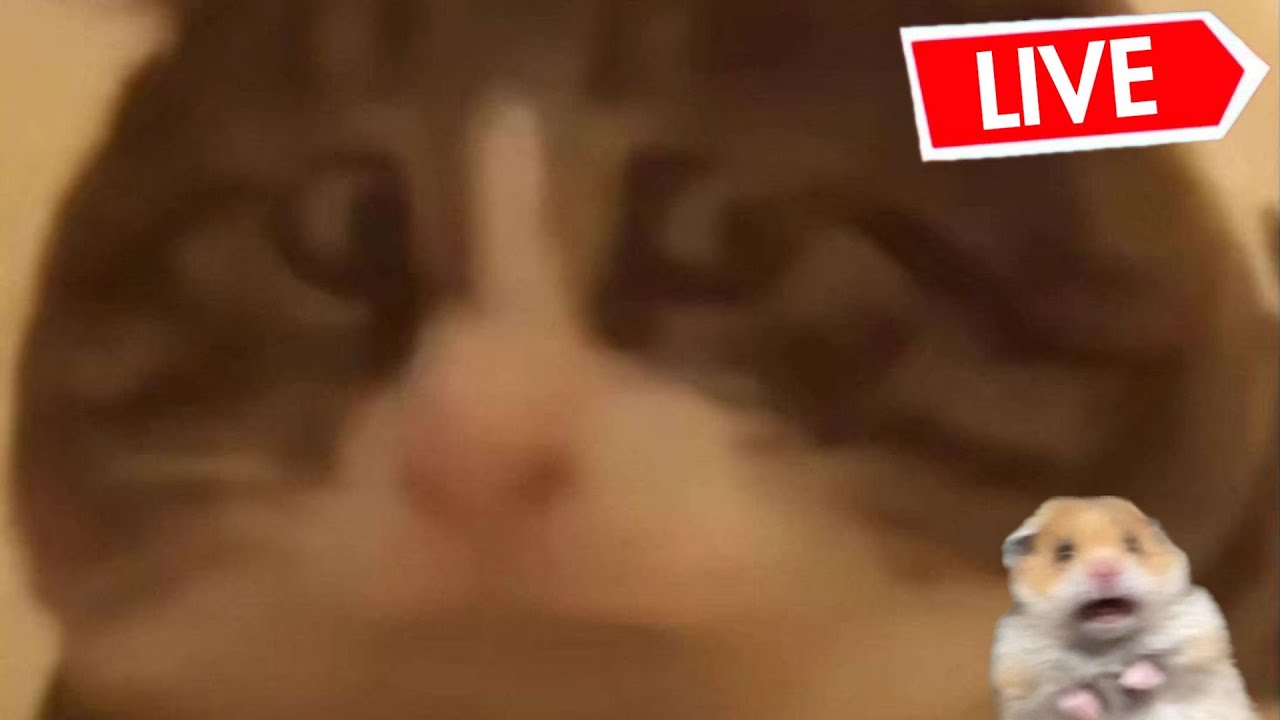 [94] 🔴 TEAM JERIT PENGECUT! | 🎮 Remnant Records/Human Fall Flat - YouTube