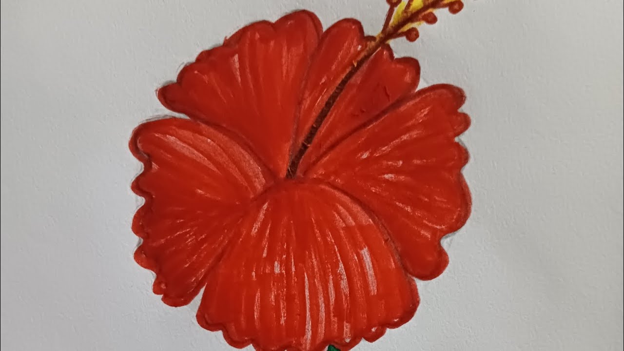 Hibiscus Flower 🌺 Joba ful Drawing 🌺 an Easy Techniques 🌺 ( জবা ফুল ...