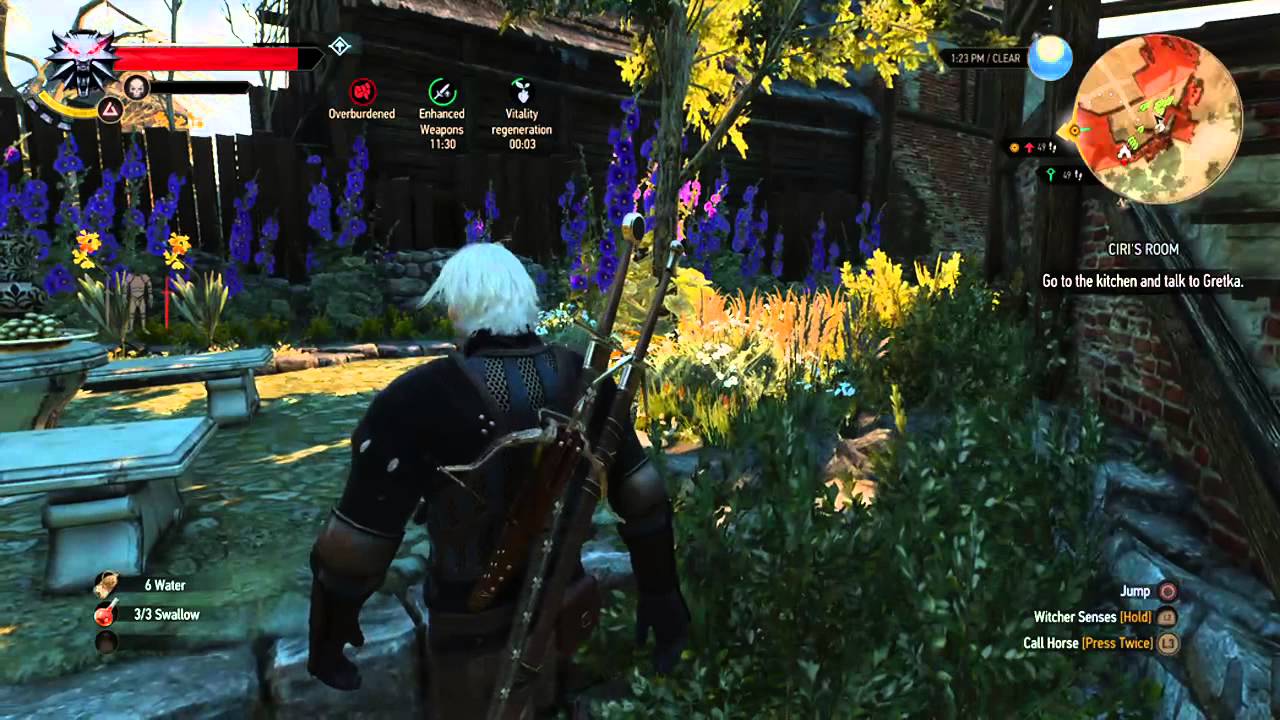 The Witcher 3: Wild Hunt Ciri room and her lil friend part 32 - YouTube