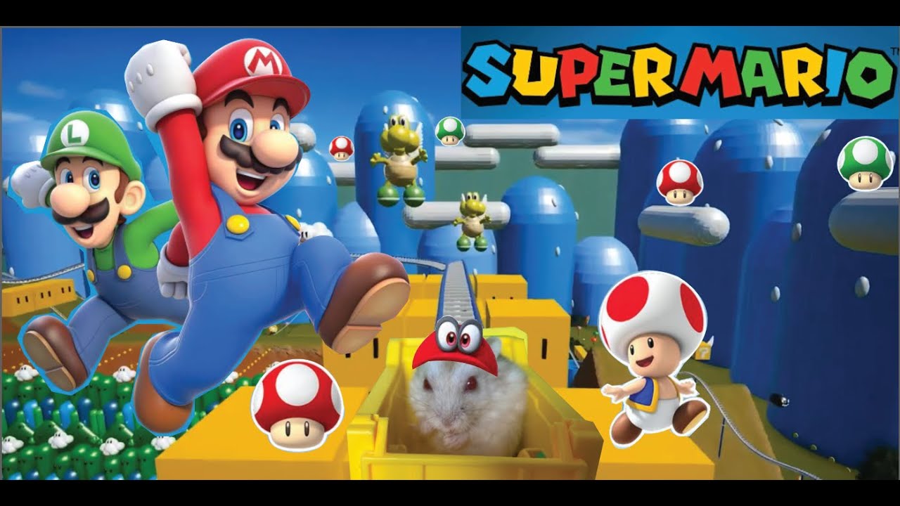 Cute Hamster in SUPER MARIO WORLD Roller Coaster Adventure Obstacle ...
