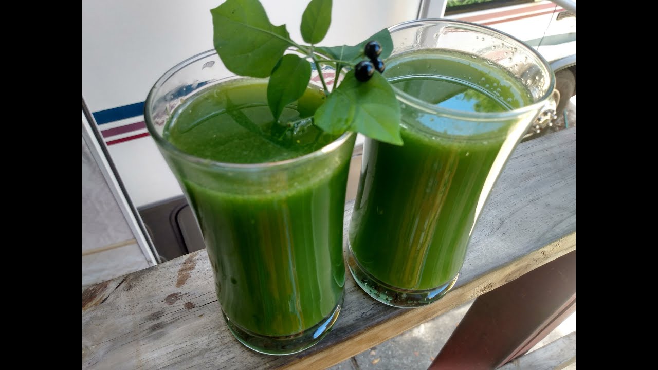 Black Nightshade Juice - Solanum Americanum - YouTube