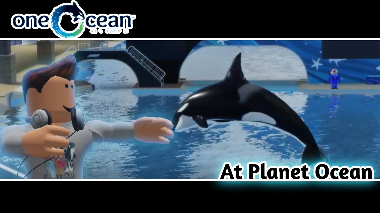One Ocean show at SeaWorld San Diego 4PM | Planet Ocean - YouTube