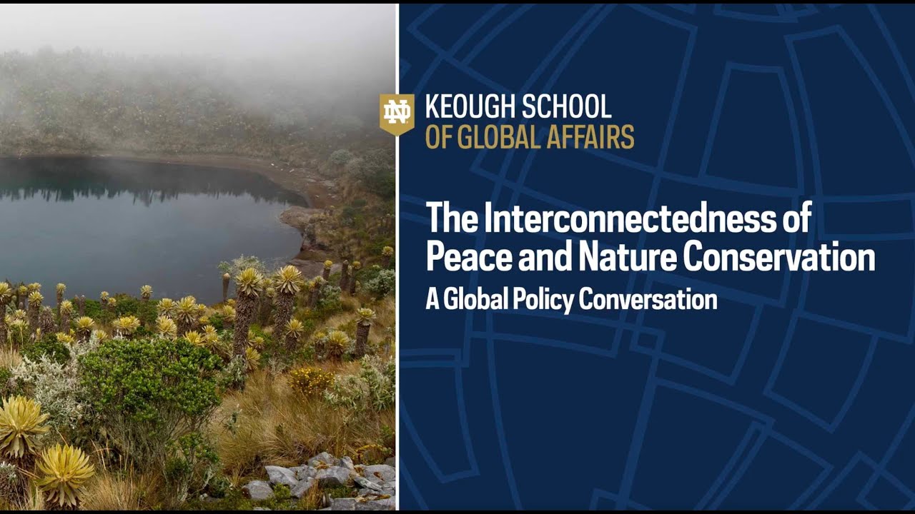 The Interconnectedness of Peace and Nature Conservation: A Global ...