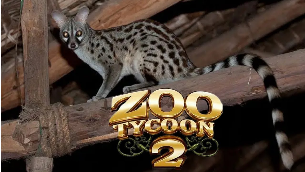 Zoo Tycoon 2-Small Mammal House-Speedbuild - YouTube