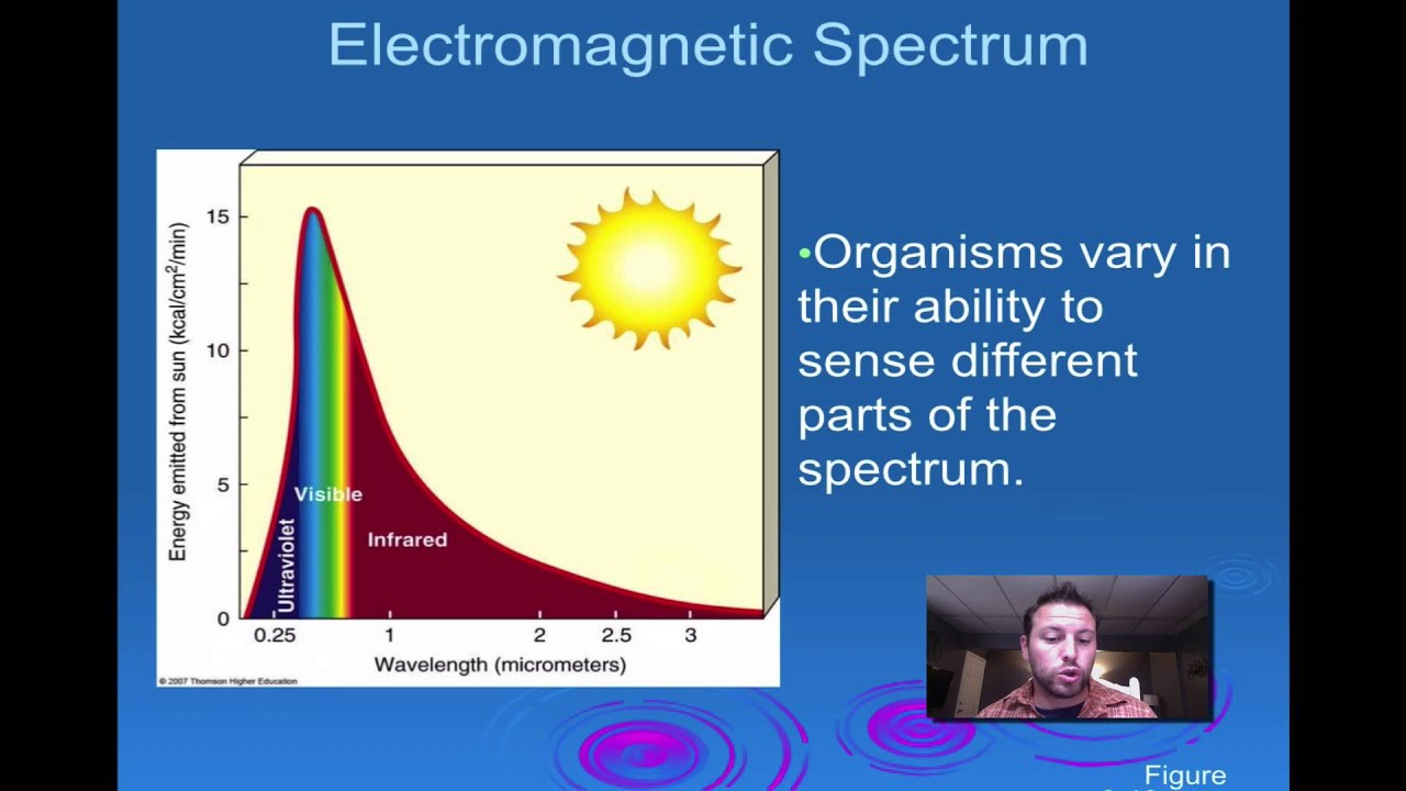 Science, Systems, Matter, and Energy 2.3 - YouTube