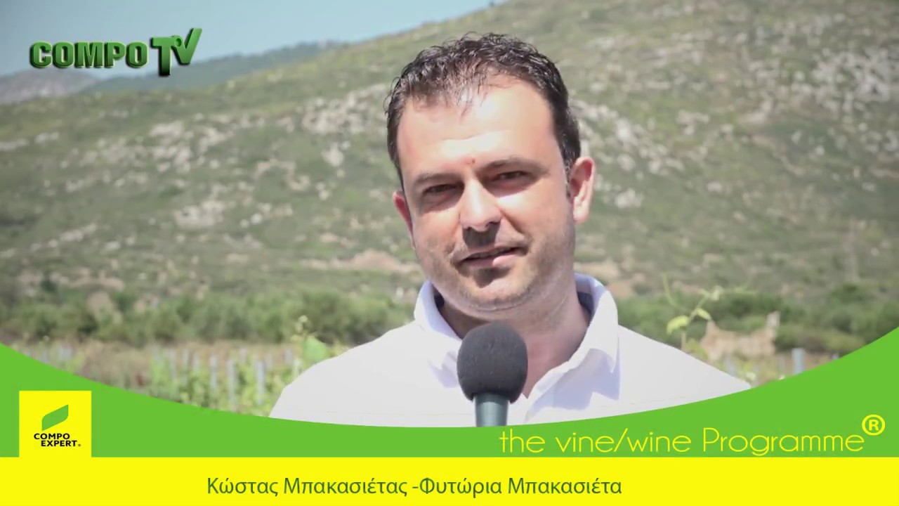 COMPO EXPERT HELLAS TV: Κώστας Μπακασιέτας (Vine/Wine programme) - Μοσχοφίλερο - YouTube