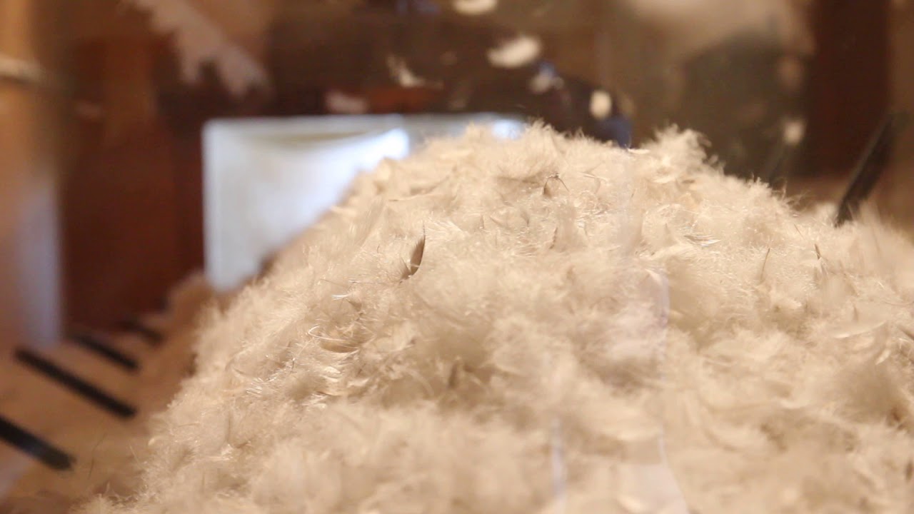 Sorting Feather Quality - YouTube