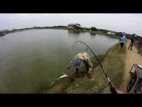 Pilot 111 Fishing Pond (Bangkok) - YouTube