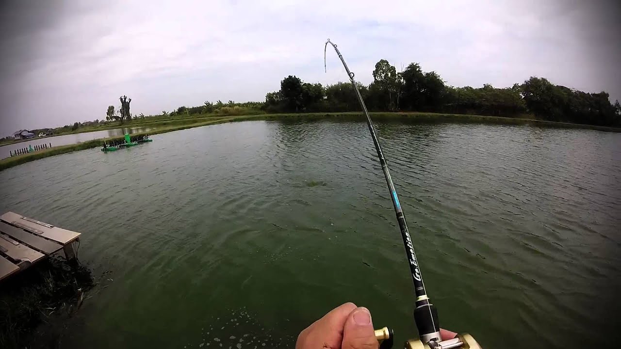 Pilot 111 Fishing Pond (Bangkok) - YouTube