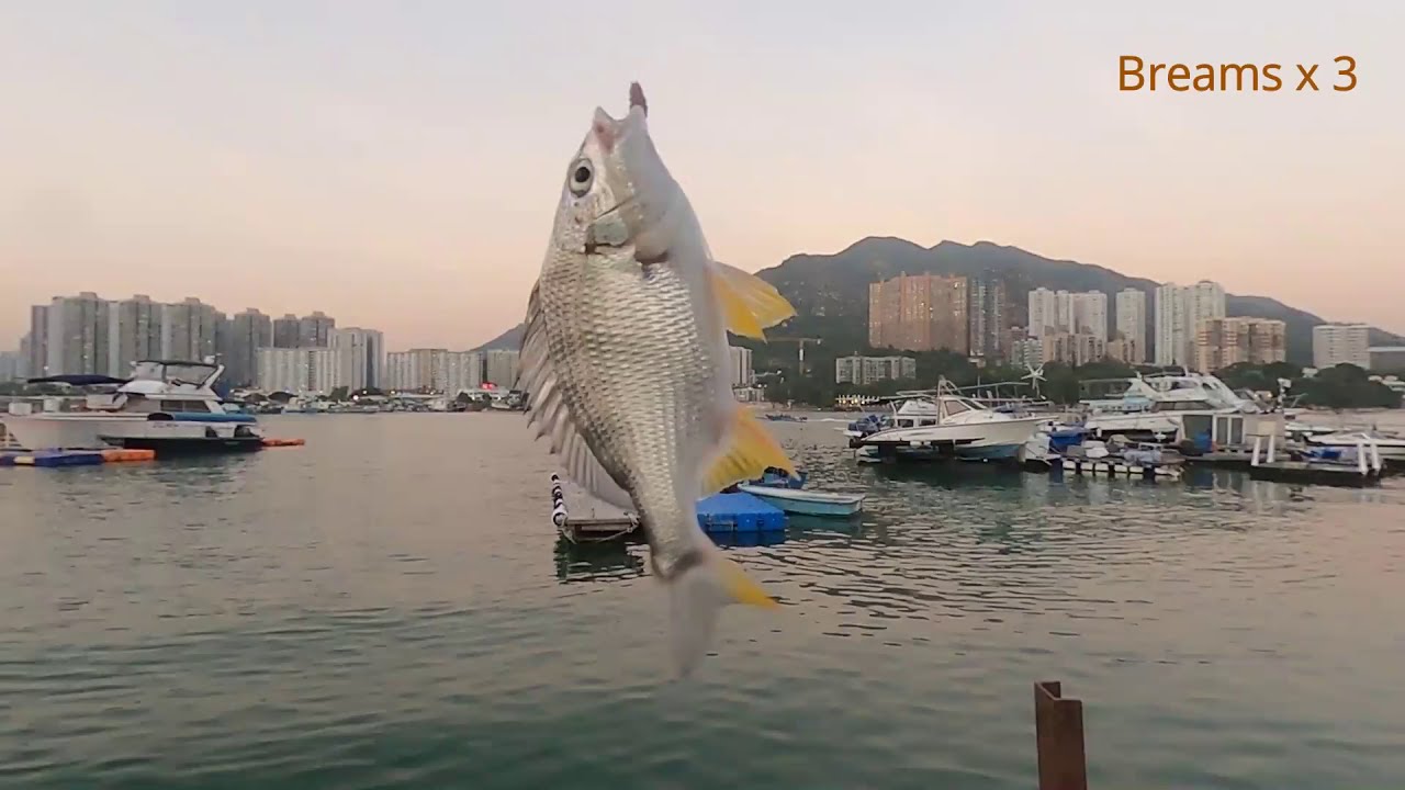 2020.11.08 | Fishing in Hong Kong Sam Shing Waterfront Promenade | ISO ...