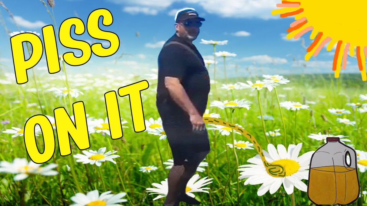 Piss on it! - YouTube