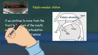 Articulatory Phonetics 3: Place of Articulation | Doovi