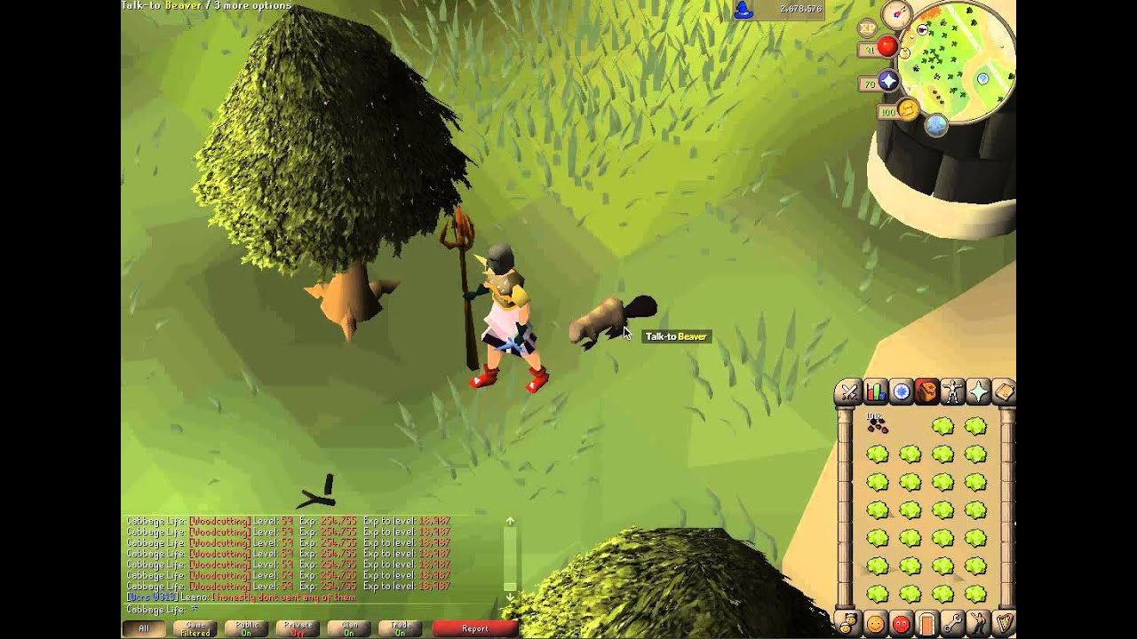 OSRS Woodcutting Pet at Level 59 woodcutting - YouTube