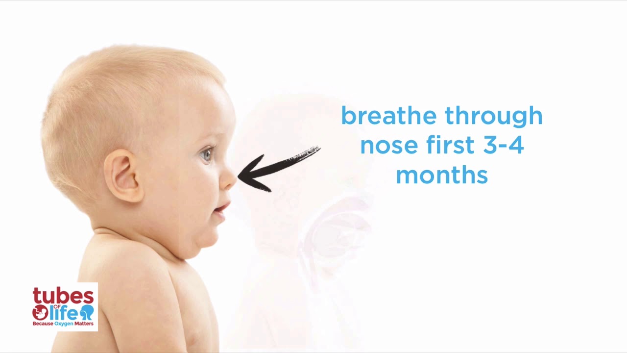 Tubes of Life - Safe at Home - YouTube