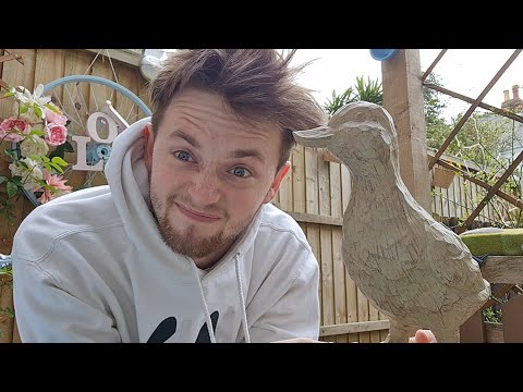 "WHAT THE DUCK!" - YouTube