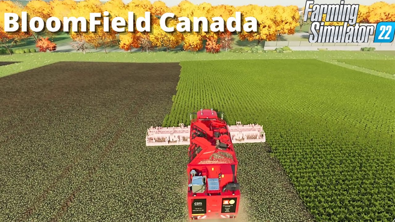 Potatoes, Beets, and the Ultimate Machines | Bloomfield Canada 41 ...