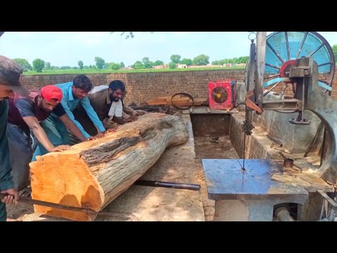 Wood cutting machine | Unseen amazing village life |Pakistan Village ...