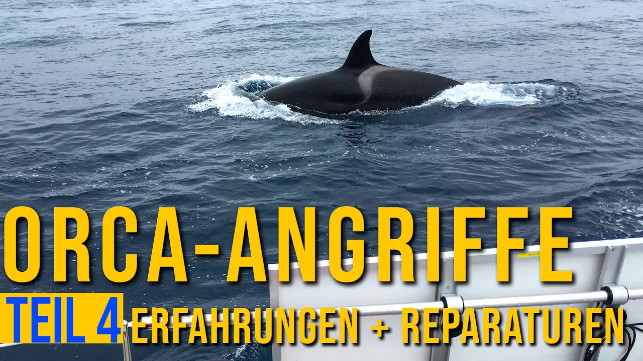 ORCA-ANGRIFFE. Teil 4. Erfahrungen und Sichtweise eines BETROFFENEN ...