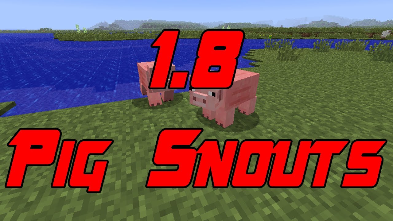 Minecraft 1.8 Update: Pig Snouts - YouTube
