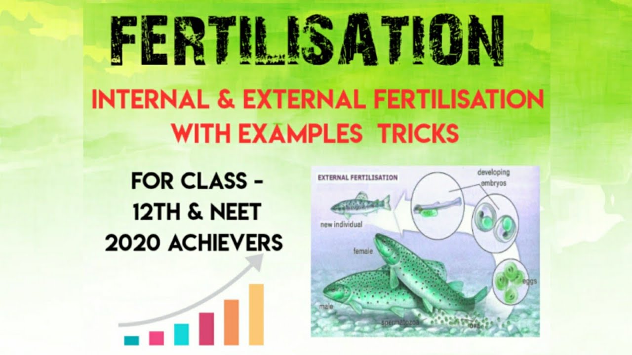External & Internal Fertilisation With Examples Trick ||For Class ...