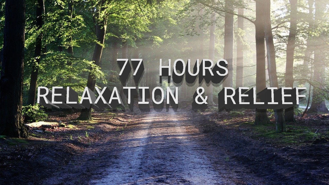77 minutes of relaxation, relief and recharge after a hard stressful ...